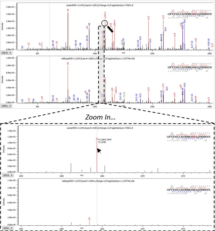 Asparagine Deamidation Quantified – Protein Metrics