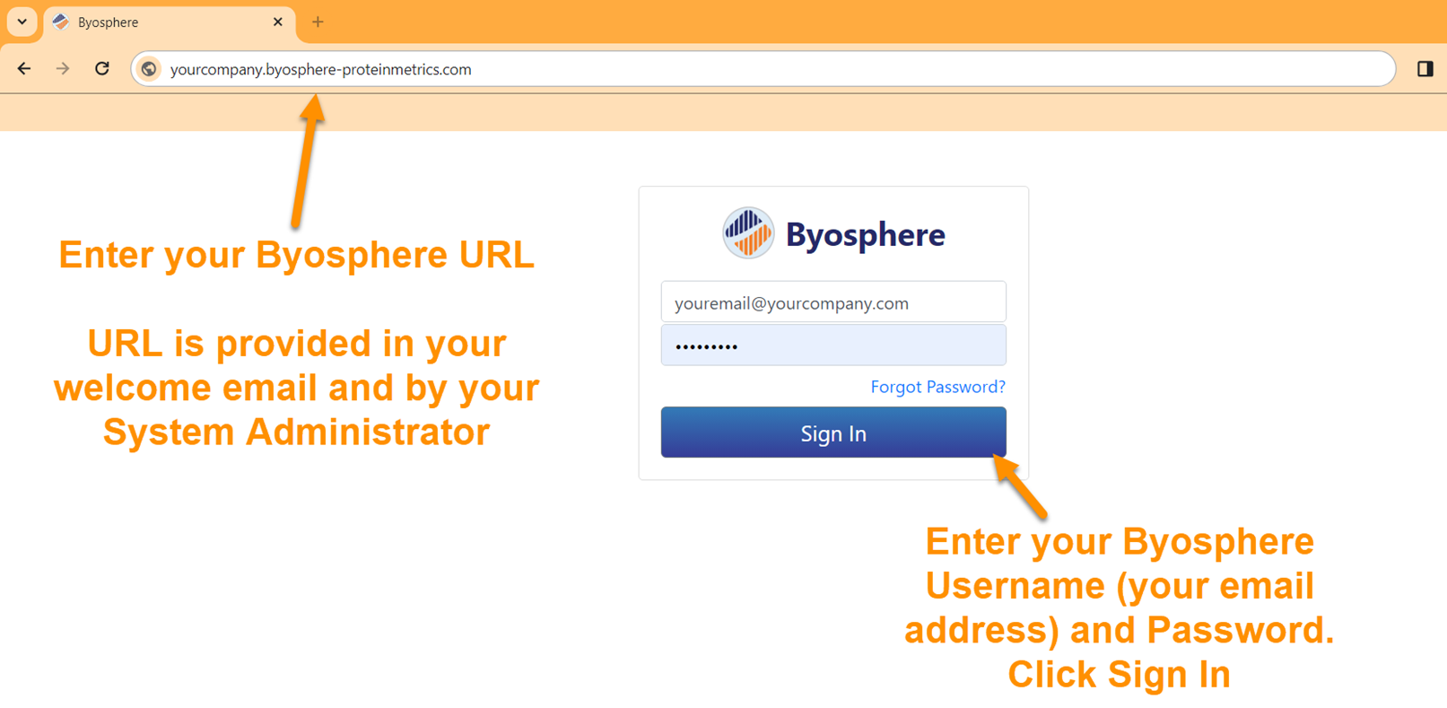 Byosphere™ First Time Running Instructions for End Users – Protein Metrics